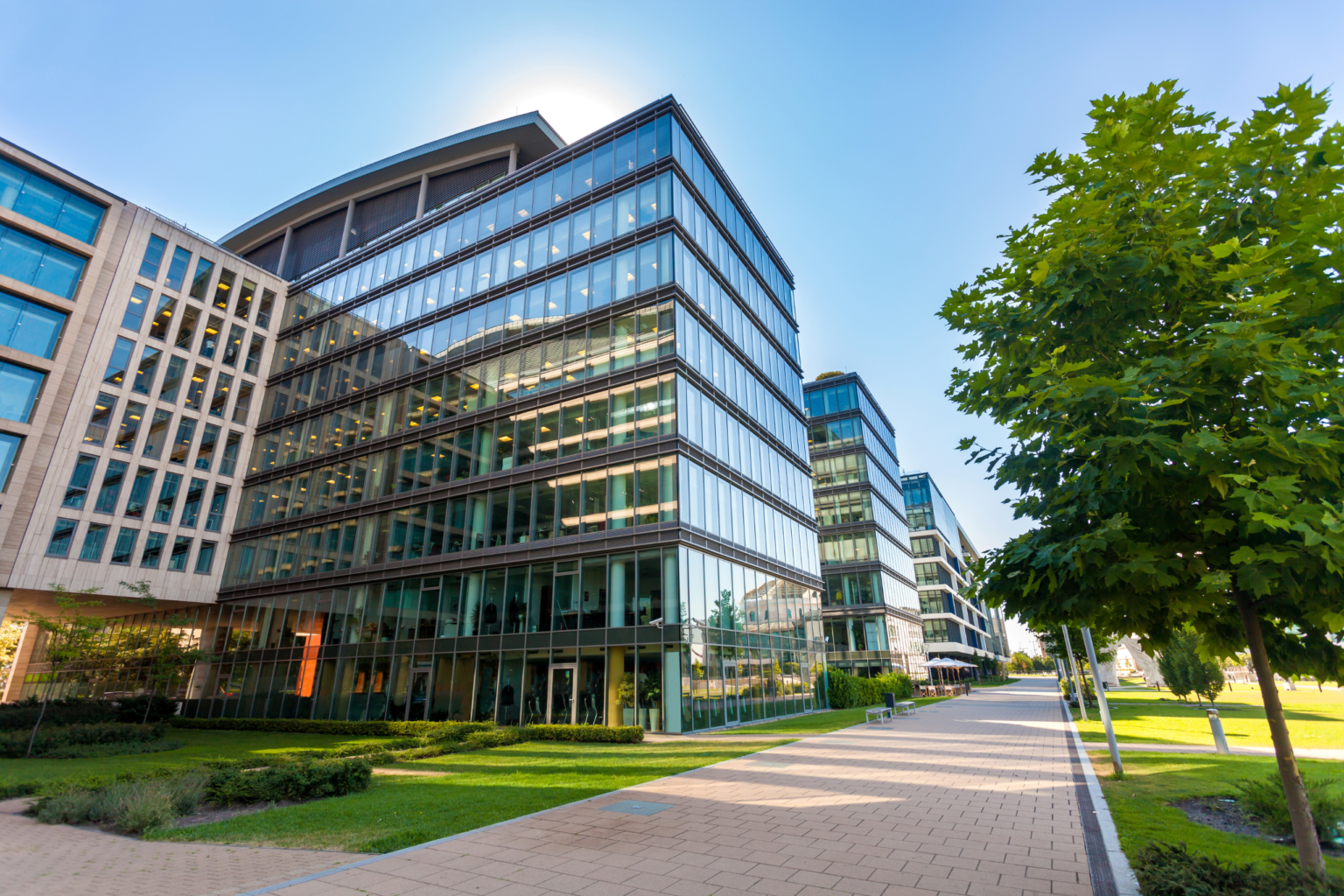 The 5 Best Window Films for Heat Reduction | Window Film Depot